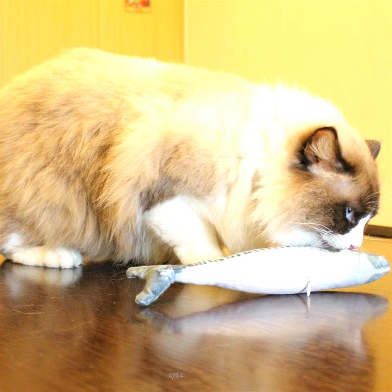 Buy Pet Soft Plush 3d Fish Shape Cat Toy Fish Catnip Toys Stuffed ...