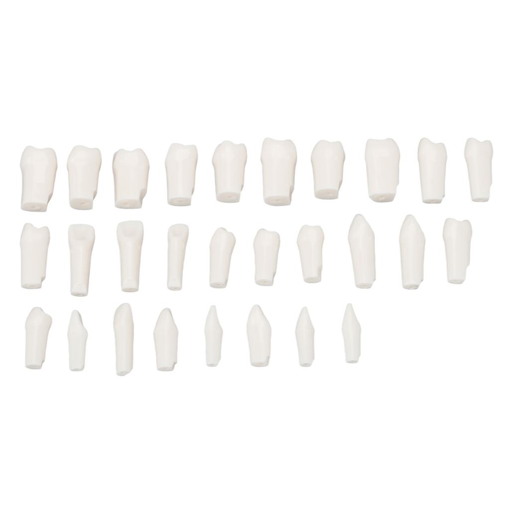 Buy 28Pcs Removable Teeth Piece Durable Plastic Removable Design False ...