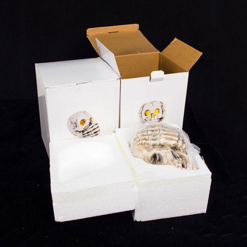 Buy Skull Skeleton With LED Lighted Eye Halloween Prop Party Decor ...