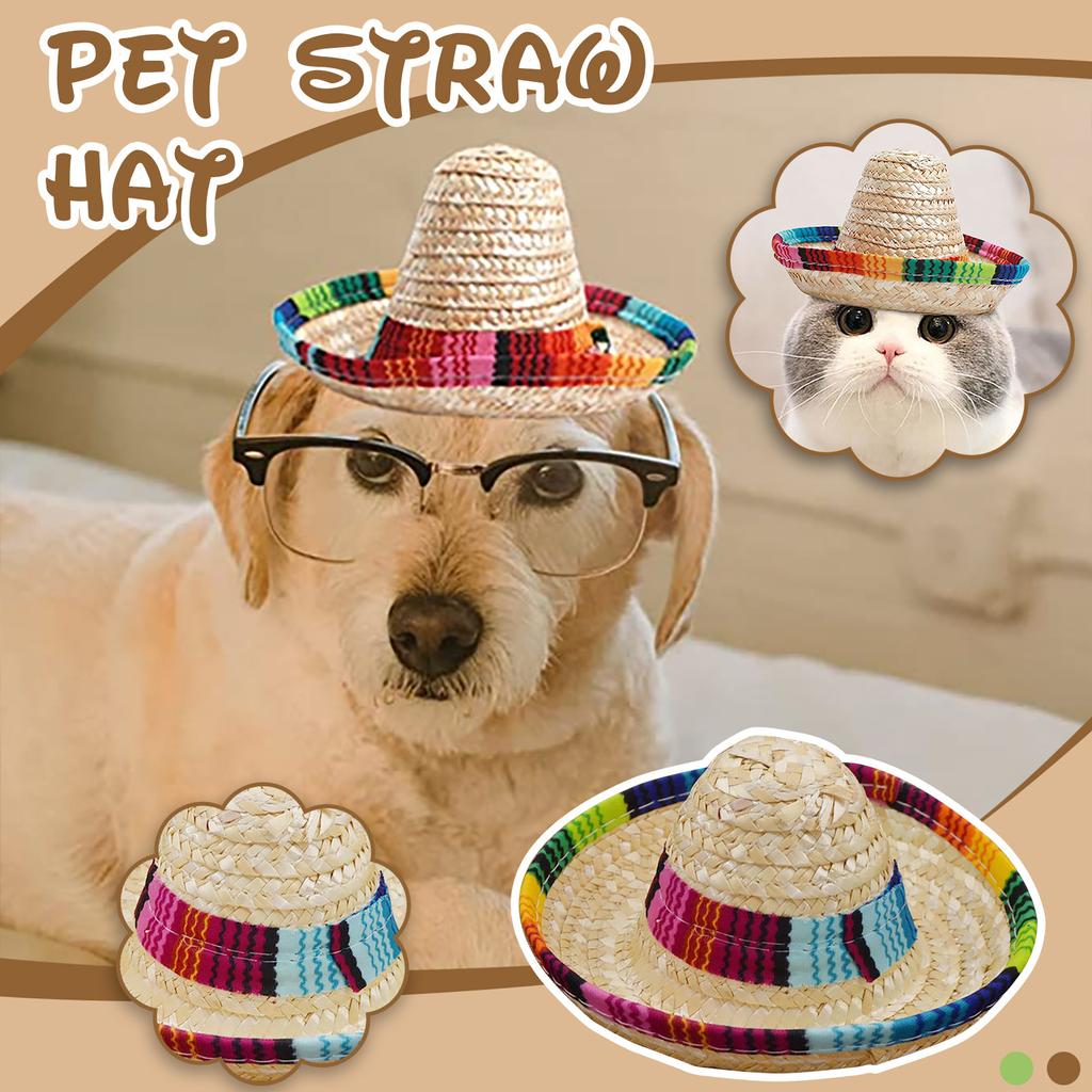 (HO)Pet Hat Puppy Flange Hat Home Decoration Hat Lace Toy Hat Bucket ...
