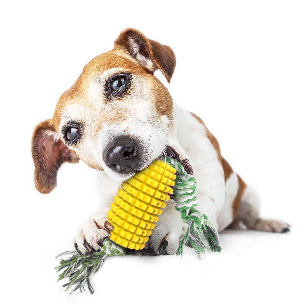 Buy Interactive Dog Toys, Healthy Treat Dispensing Ball Corn Shaped ...