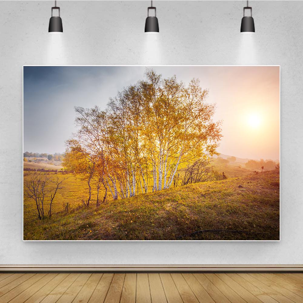 Fotoğraf Tema Arka Plan Duvar Özelleştir Poster Kağıdı Arka Plan ...