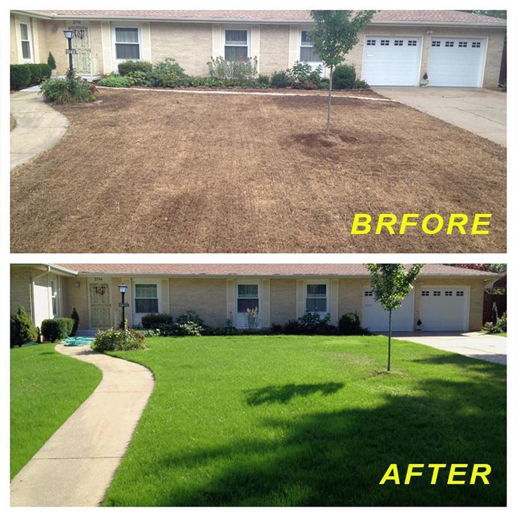 Buy 20×1000CM Grass Seed Mat Fertilizer Garden Picnic Lawn Plant Pad at ...