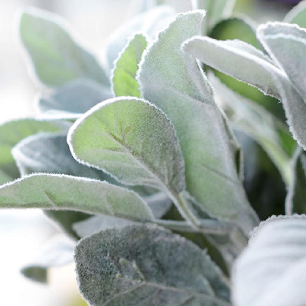 Buy Rabbit ear plant branch Christmas decor wedding decoration Flowers ...