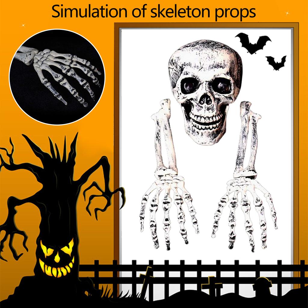 Buy Halloween Skeleton Bones Decor - Spooky Creepy Horror Realistic ...