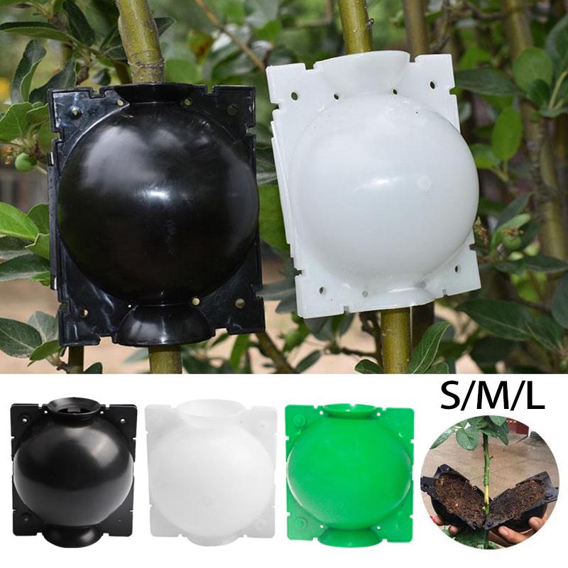 Buy 1PC Plant Rooter Botany Root Controller Propagation Ball Box High ...