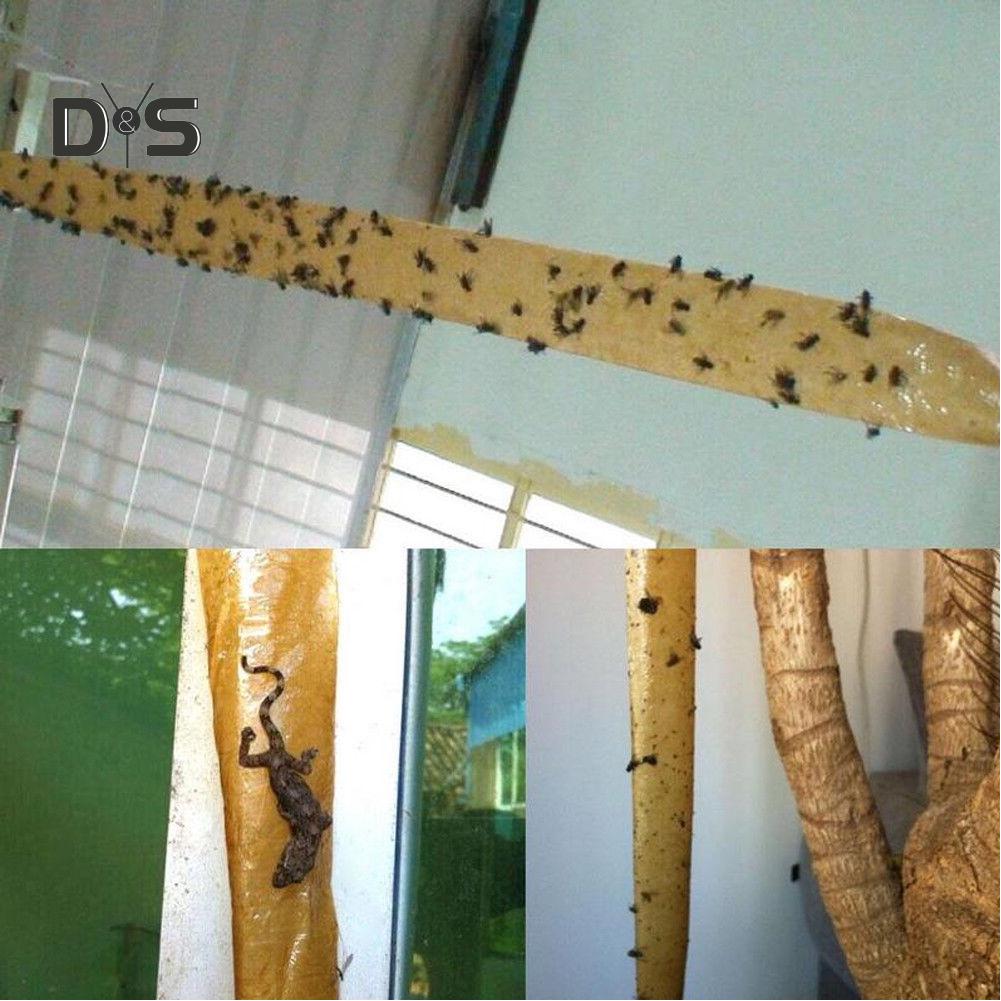 Buy 4 Rolls Insect Bug Glue Paper Killer Fly Catcher Trap Ribbon Strip ...