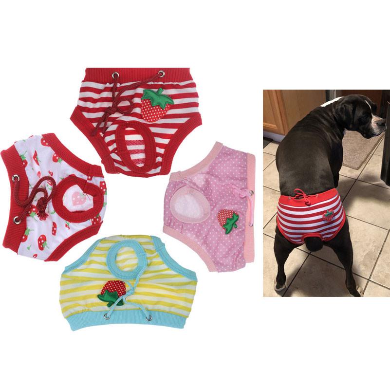 Buy New Cute Female Pet Dog Physiological Menstrual Hygiene Pants ...