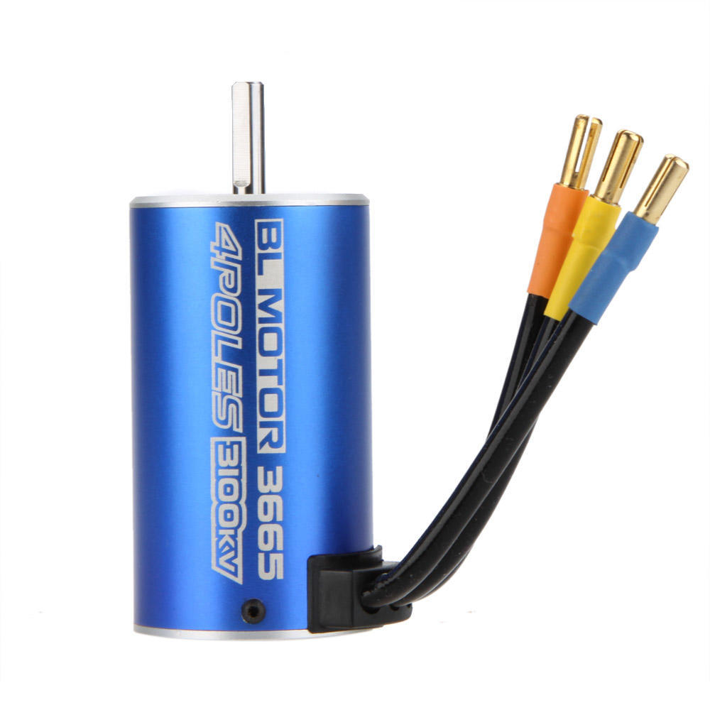 Buy 3665 4Poles 3100KV Brushless Motor for RC Car Boat at affordable ...