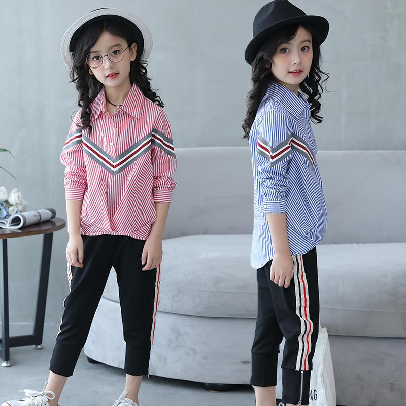 Buy Girl Clothes Set Girl's 2pc Suit Set Cotton Girl Spring Long Sleeve ...