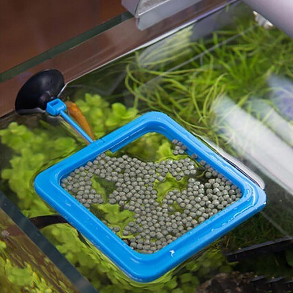 Buy Fish Feeding Aquarium Floating Food Water Plant Suction Cup ...