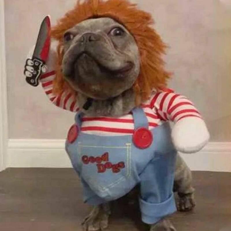 Buy Halloween Scary Dog Costumes Funny Pet Clothes Puppy Cat Cosplay ...