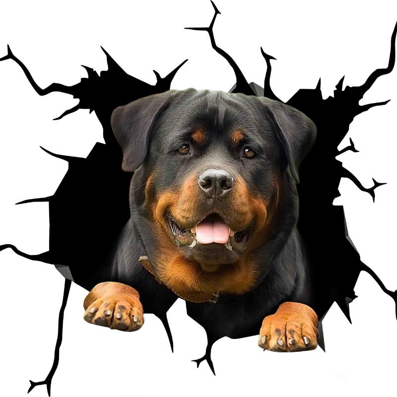 Buy 30-50cm Car Sticker Rottweilers Body Sticker, Window Sticker,Proof ...