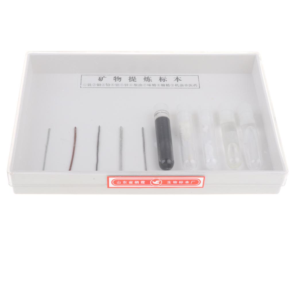 Buy Set of 10 Nature Extract Specimens Collection Kit Kids Science ...