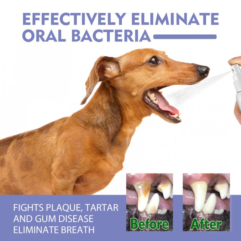 Köp 60ml Pet Dog Teeth Clean Deodorant Safe Digestible Formula Oral ...