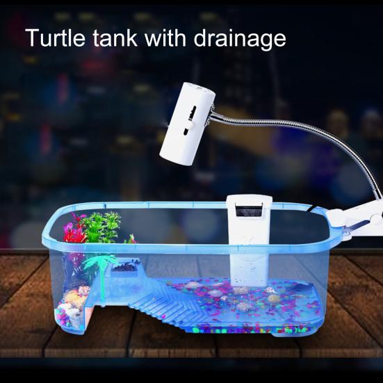 Buy Fashion Reptile Feeding Box Thicker Material Broken-proof Smell ...
