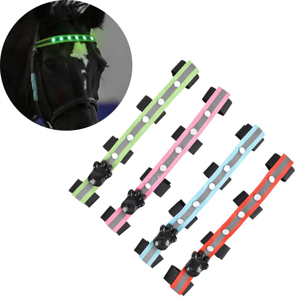 Buy [Be] LED Horse Riding Head-Harness Saddle Halters Colourful Light ...