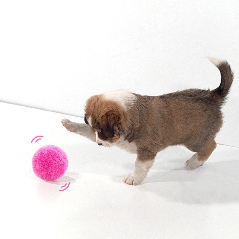 Buy Magic Roller Ball Automatic Dog Cat Toys Robotic Microfiber Mop ...