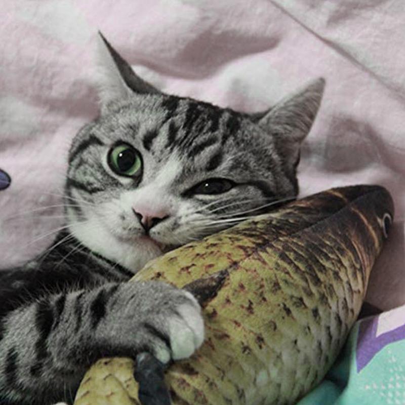 Buy Creative 3d Fish Shape Cat Toy Simulation Plush Fish Pillow Fish ...