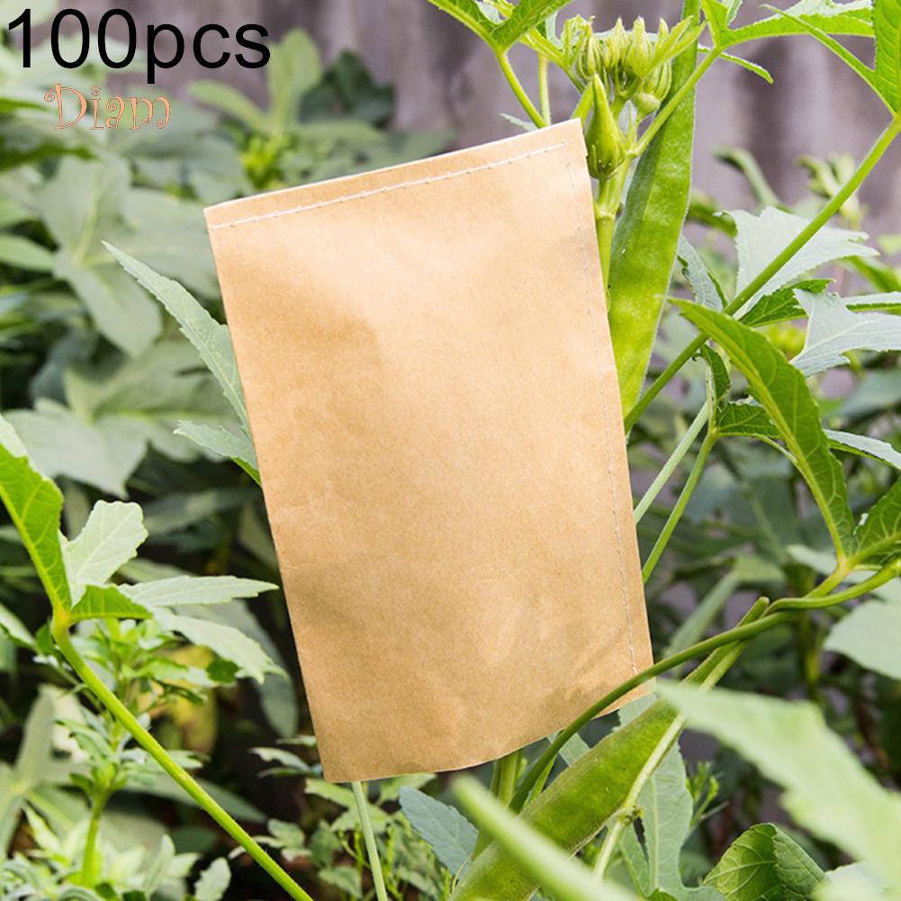 Buy Tenfyer 100Pcs Storage Kraft Paper Bags Pot Farm Pollen Sack Food ...
