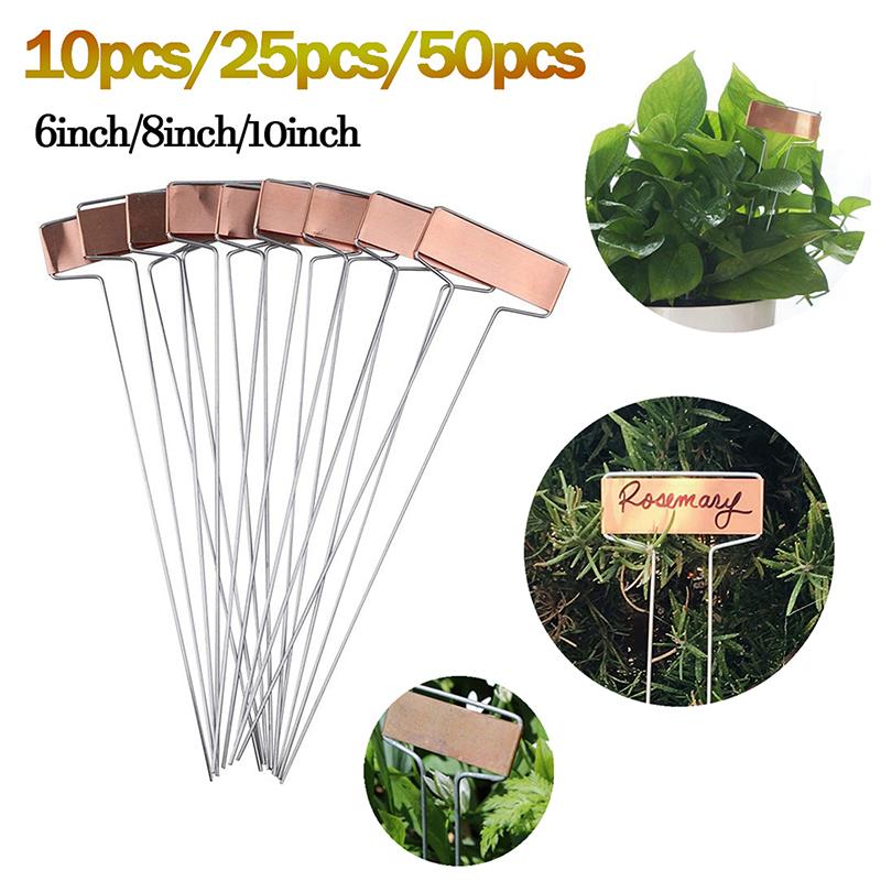 10/25/50PCS Copper Plant Label Plate Metal Plant Tags Garden Stake ...