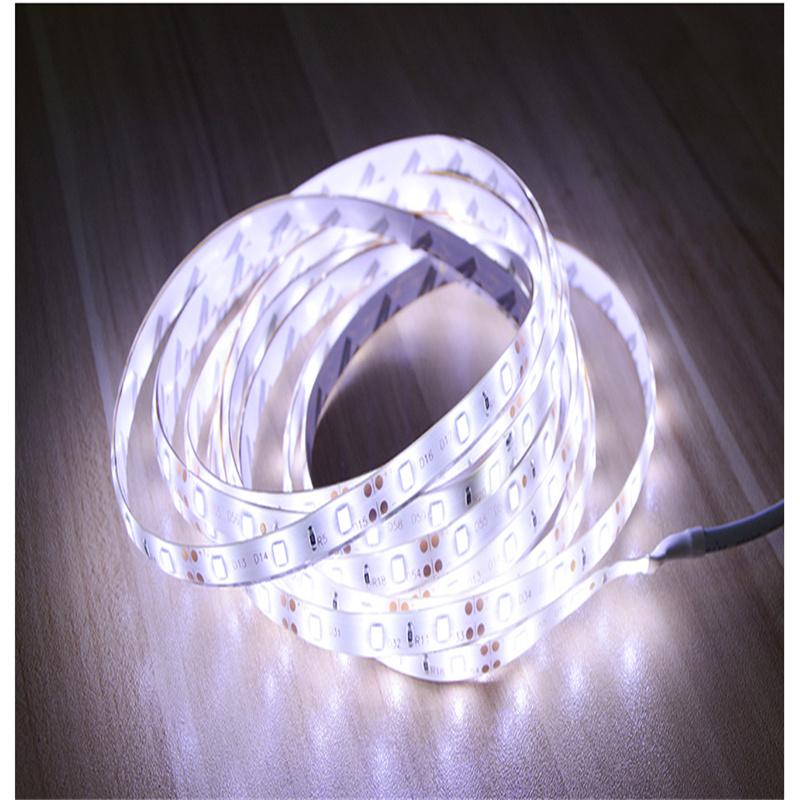 Buy IP65 SMD2835 PIR Sense LED Light Strip at affordable prices — free ...