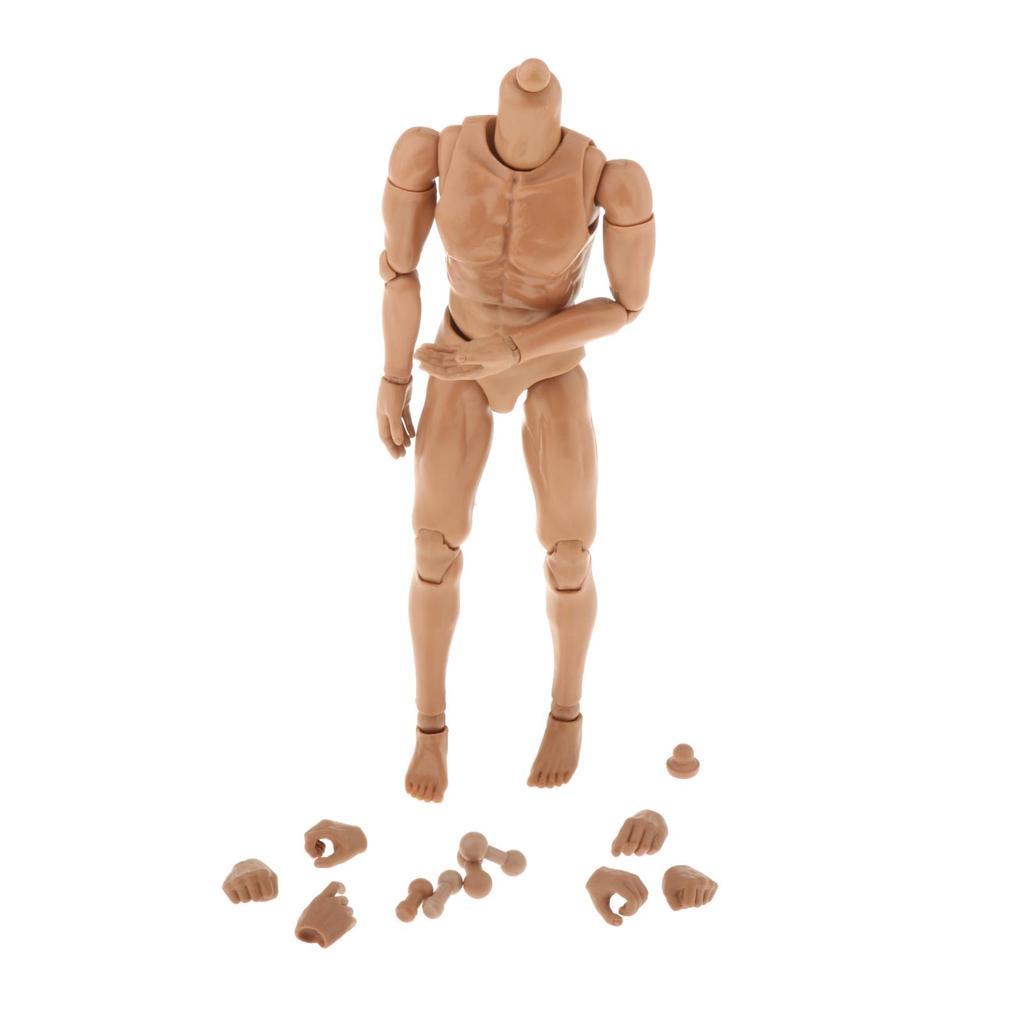 1/6 Muscular Male Action Figures Flexible Joints Body 28CM With Hands ...