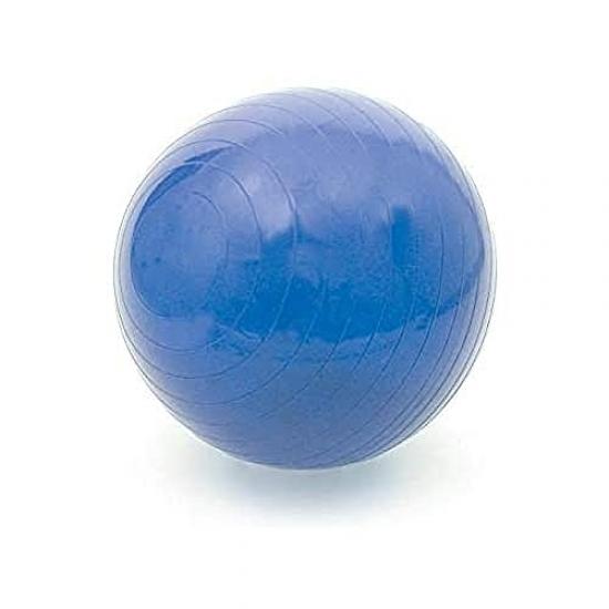 Buy Antar atcp abs rehabilitation ball 85 atcp 85 rehabilitation ball ...