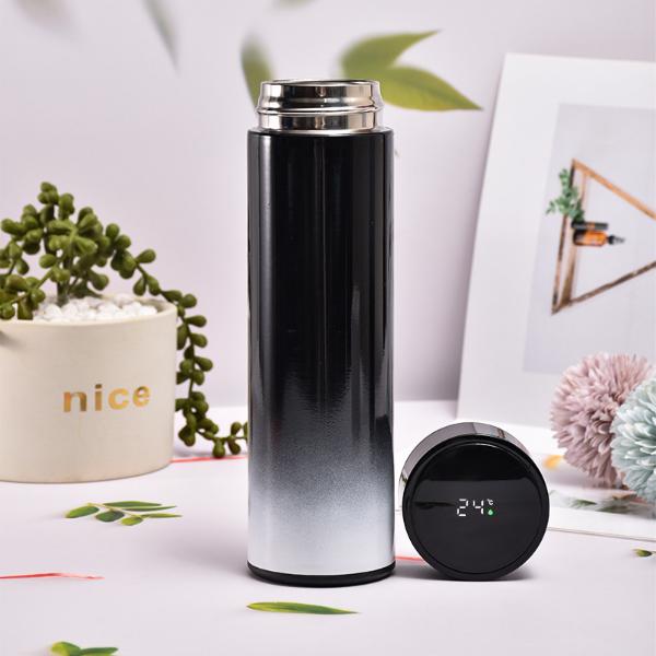 Buy Smart Digital Water Bottle Keeps Cold and Heat Thermal Bottle ...