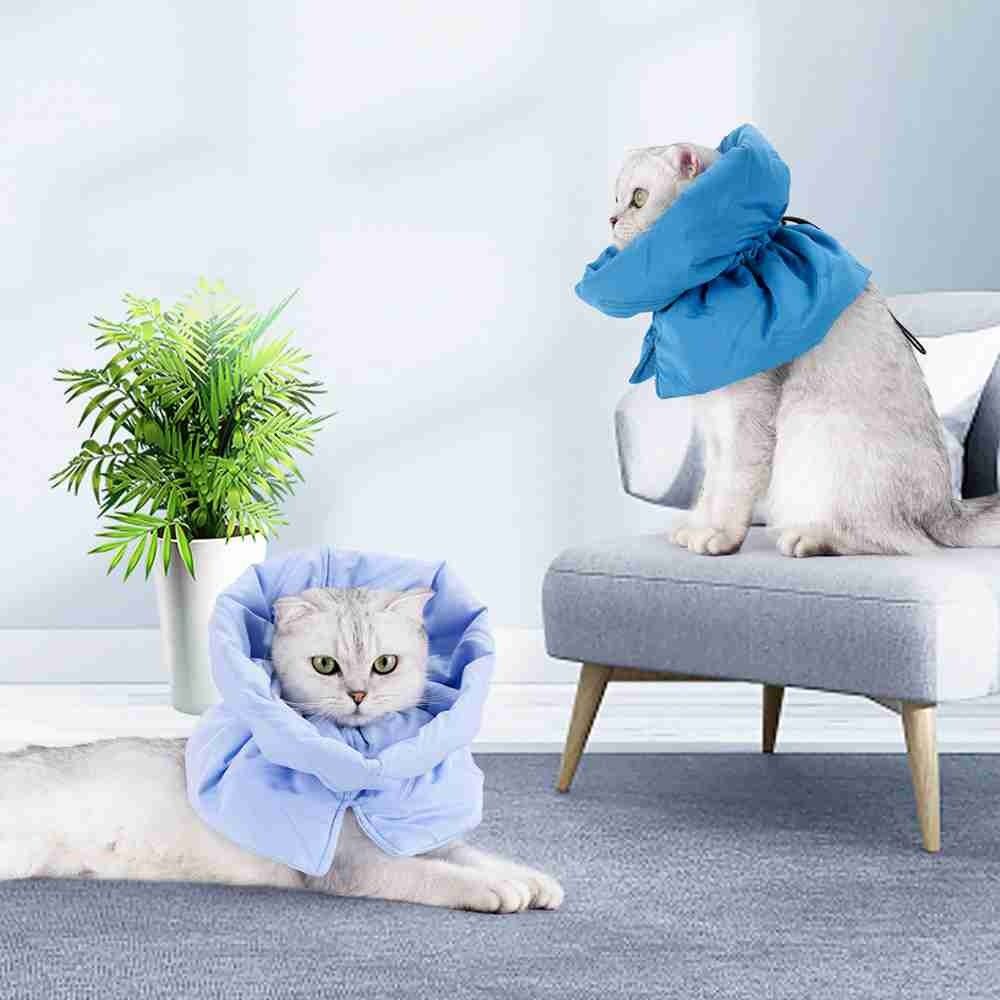 Buy Cat Protection Pet Soft Ring Pet Collar Elizabethan Circle Anti ...
