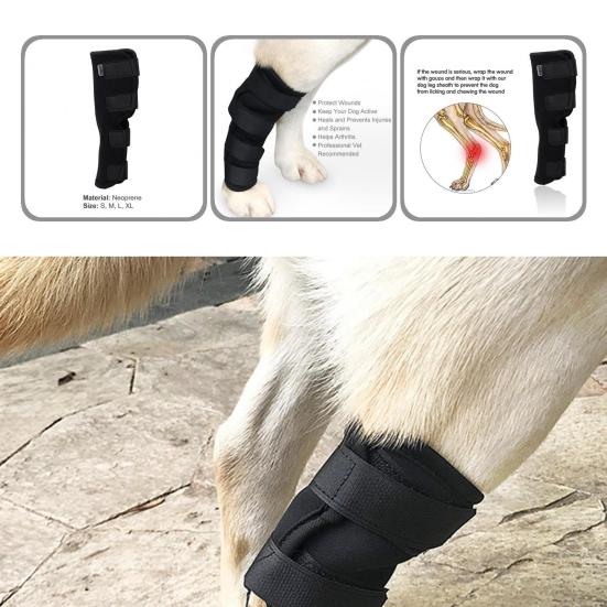 Buy 1Pc Fashion Practical Easy Use Dog Joint Wrap Multifunctional ...
