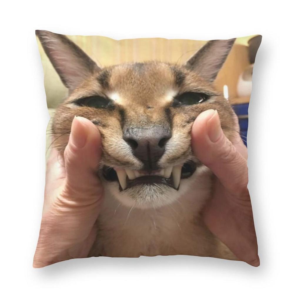 Satın alın Big Floppa 378 Dakimakura Pillow Case Pillow Cover Cushions ...