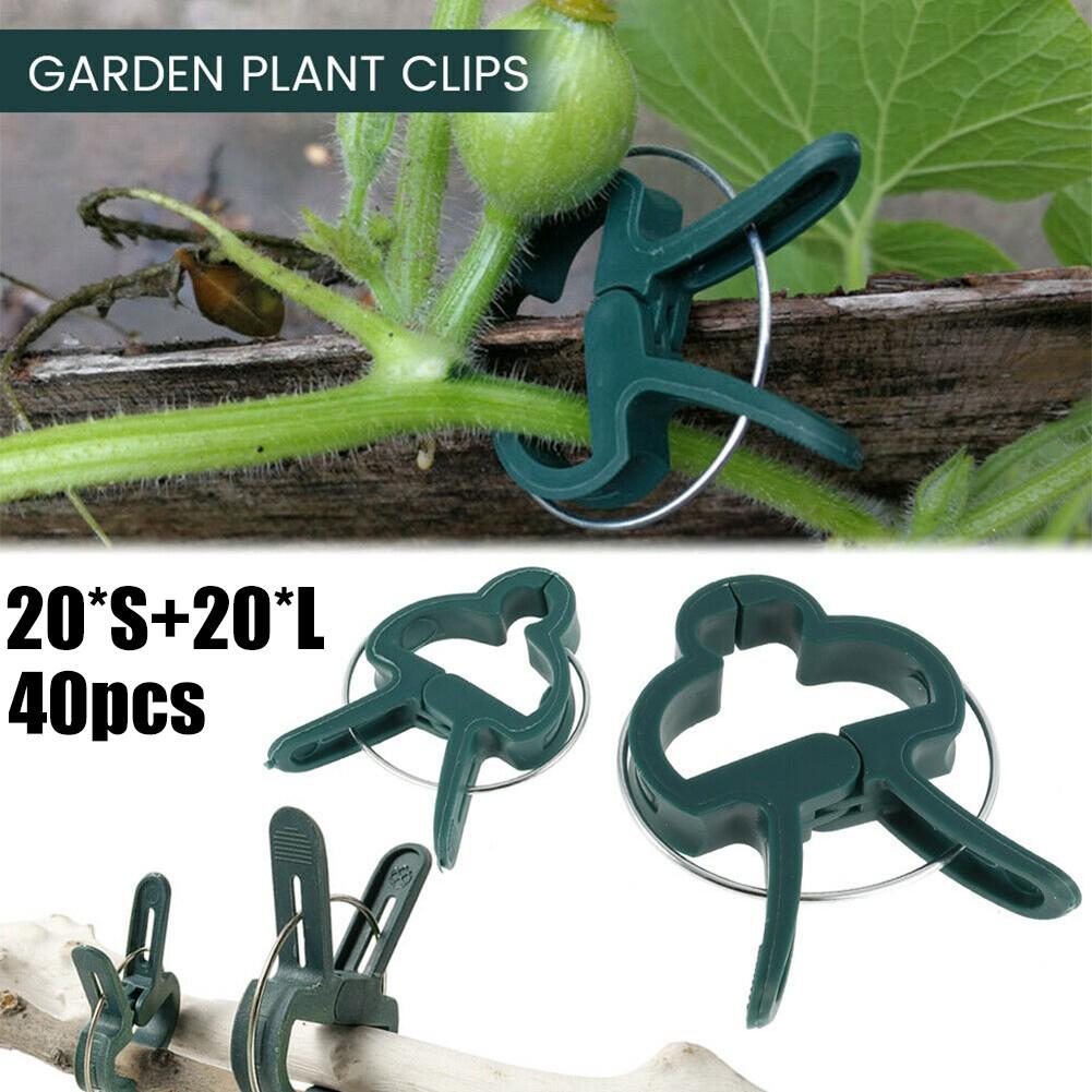 Buy Plastic + Iron Reusable Plant Clips Patio Support Fixing Spring ...