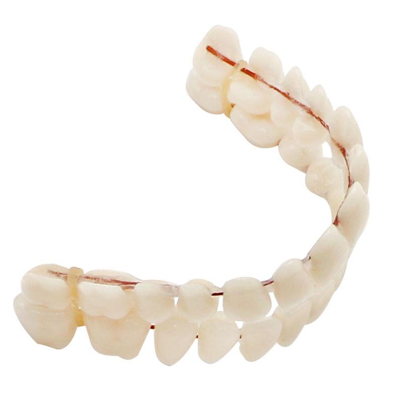Buy A2 Resin Teeth Upper Lower Denture Manufactured Artificial ...