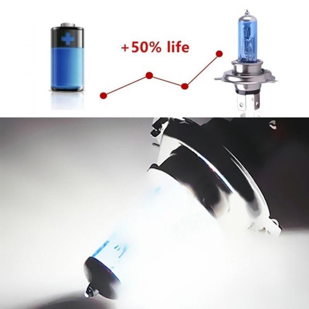 Buy 2Pcs 12V Super Bright Car Driving Front Headlight Halogen Light ...