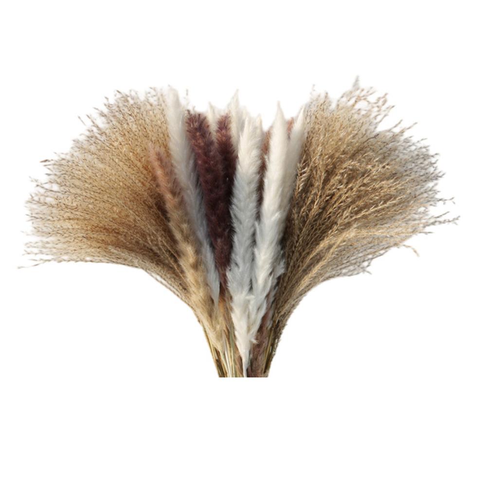 60Pcs Dried Reed Small Pampas Flowers Artificial Banquet Decoration ...