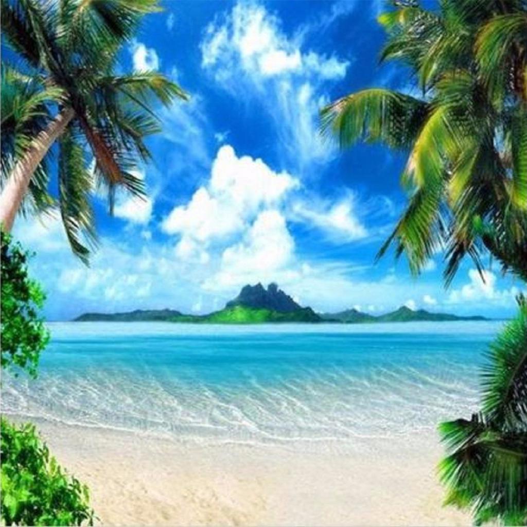 Real Beach Background Images