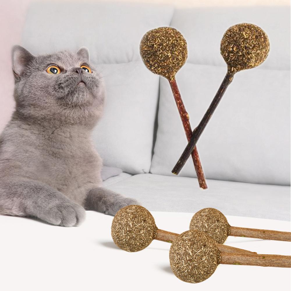 Cat Mint Lollipop Cat Catnip Toy Natural Muitan Stick Catnip Ball Toothpaste Cats Nip Clean ...
