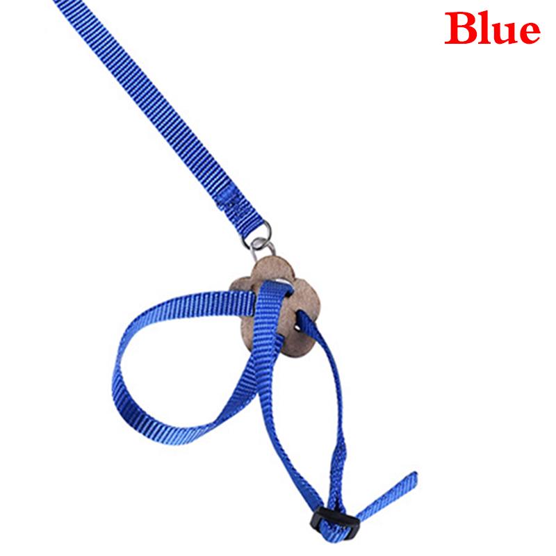 Buy 1pc Party Tortoise Strap Training Rope Bird Harness Parrot Leash ...