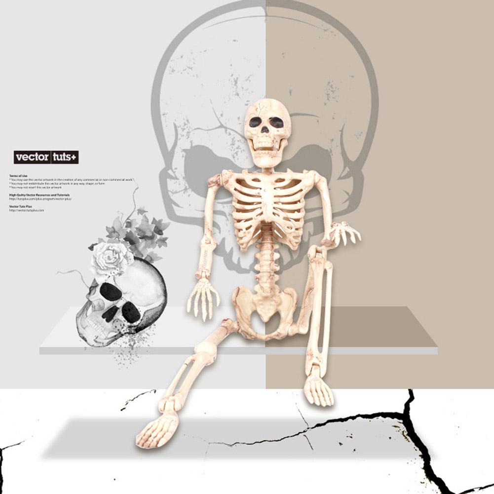 Buy Human Skeleton Simulation Plastic Decoration Funny For Haunted ...