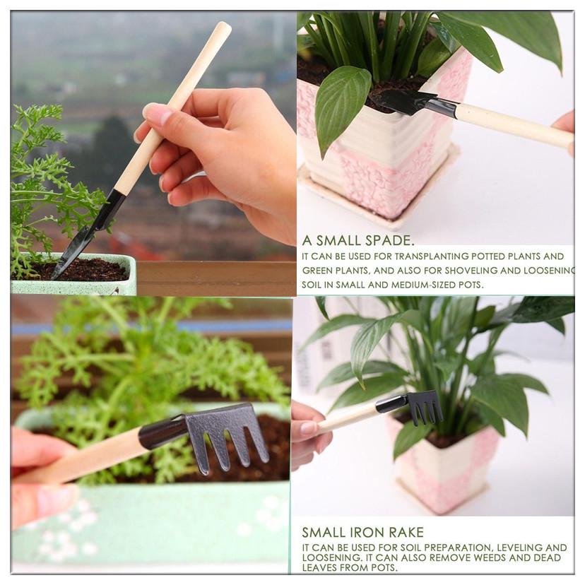 Small Transplant Hand Tool For Multi-Functional Indoor Gardening Plant ...
