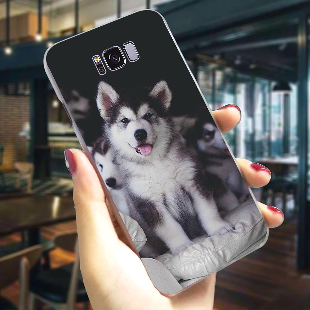 Buy Animal Husky Cute Puppy Dog Phone Case For Galaxy S9 Note 9 M10/M20 ...