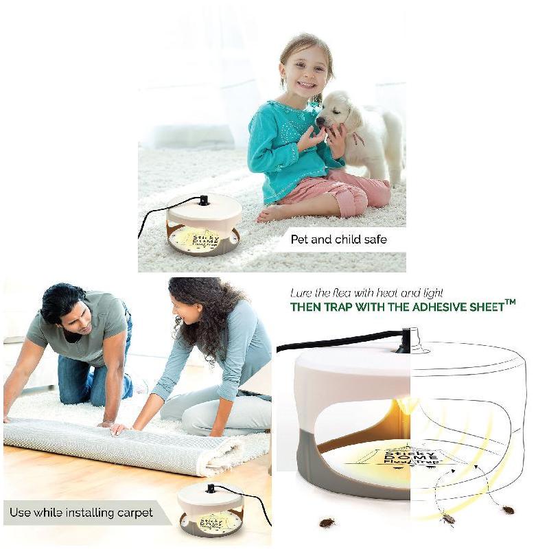 Buy Flea Odorless Non-toxic Pest Home Light Pad Sticky Control Killer ...