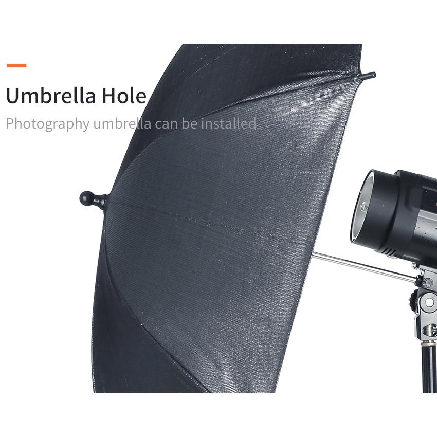 Buy Godox 400Ws Strobe Studio Flash Light Kit 2pcs 200Ws Light- Strobes ...