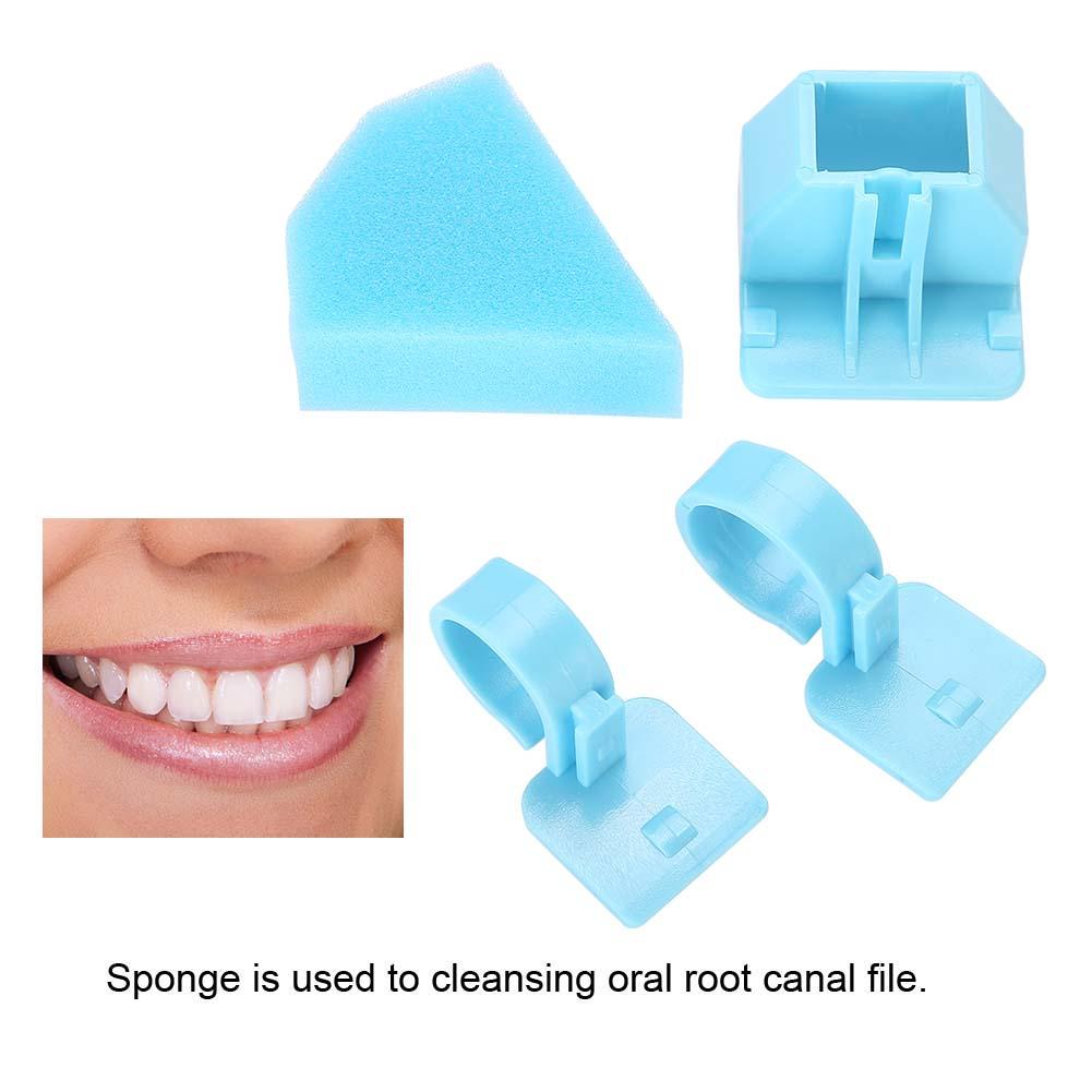 Buy 4pcs Dendal Endodontic Files Finger Ring Holder / Endo Ruler ...