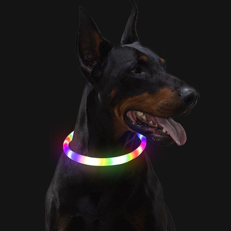 Buy Collar Luminous Usb Cat Dog Collar 3 Modes Led Light Glowing Loss ...