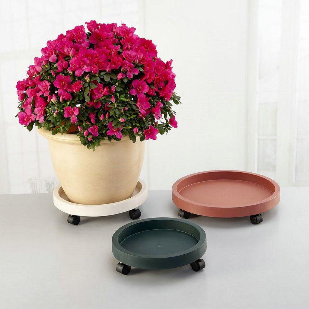 Plastic Plant Caddy Flower Pot Stand with Wheels Round Rack on Rollers ...
