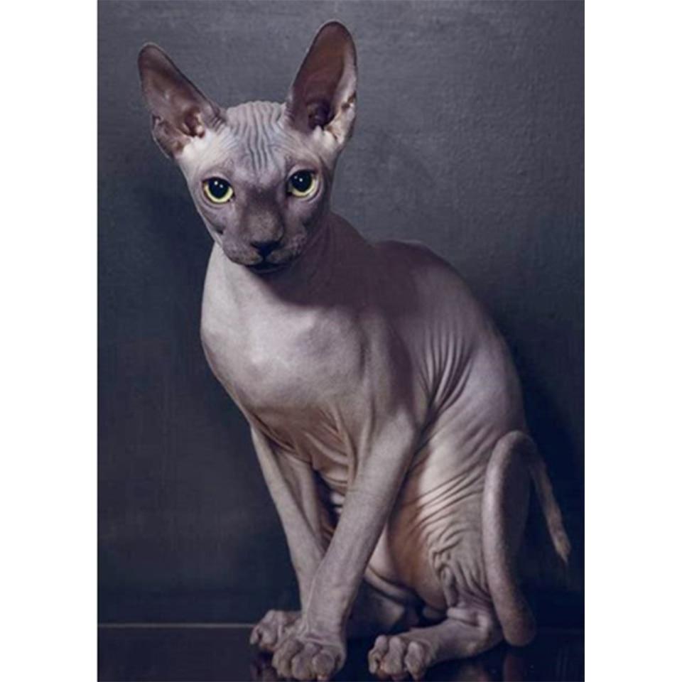 Buy DIY 5D Black Cat Diamond Painting Rhinestone Picture Full Animal ...