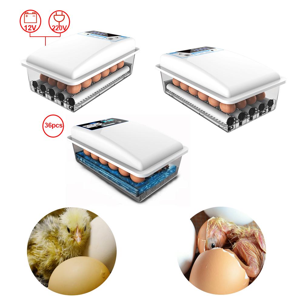 Buy 24 Eggs Turning Incubators Farm Hatchery Machine Bird Chicken Duck ...