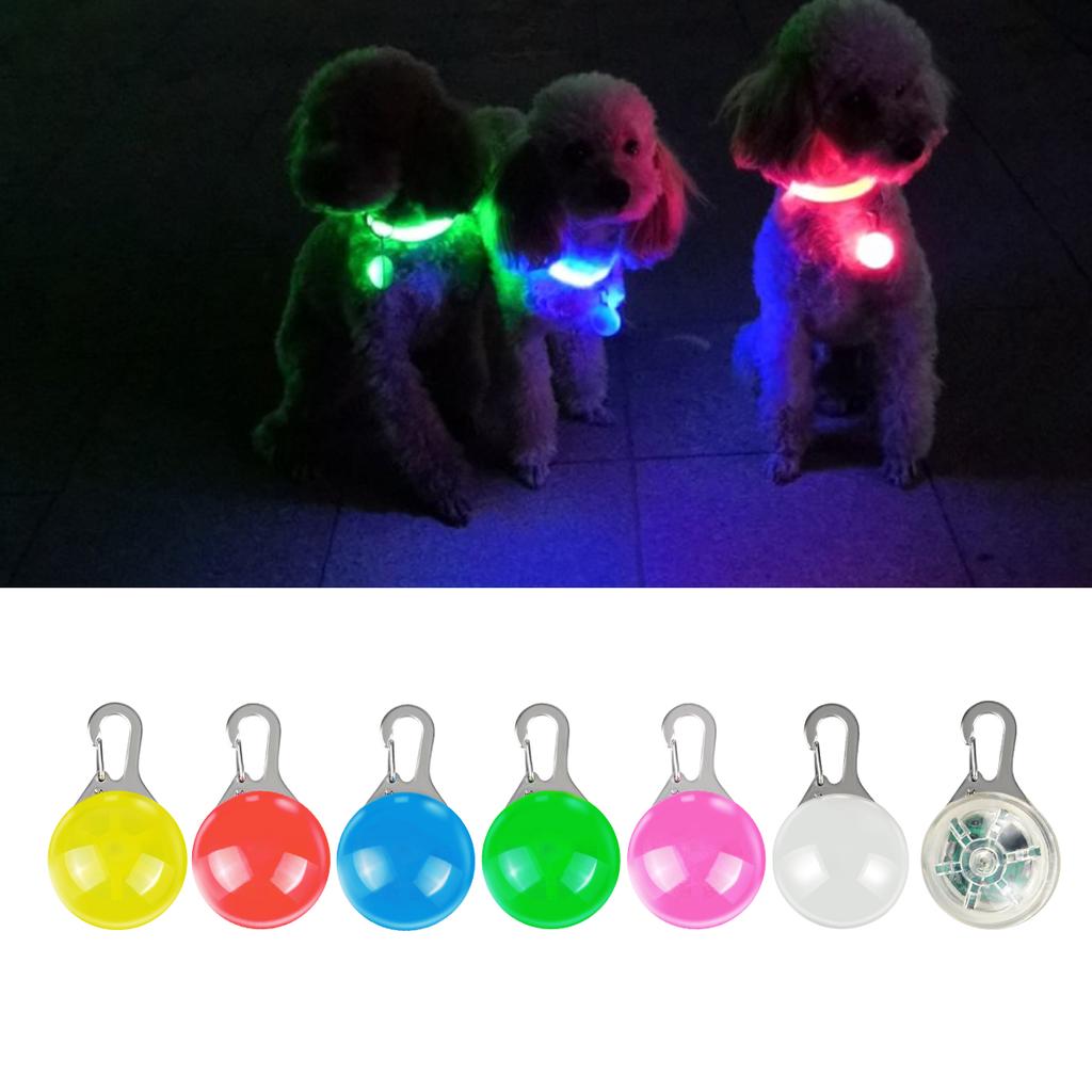 Buy LED Light For Walking The Dog Home Pet Cat Dog Collar Leads Bulb ...